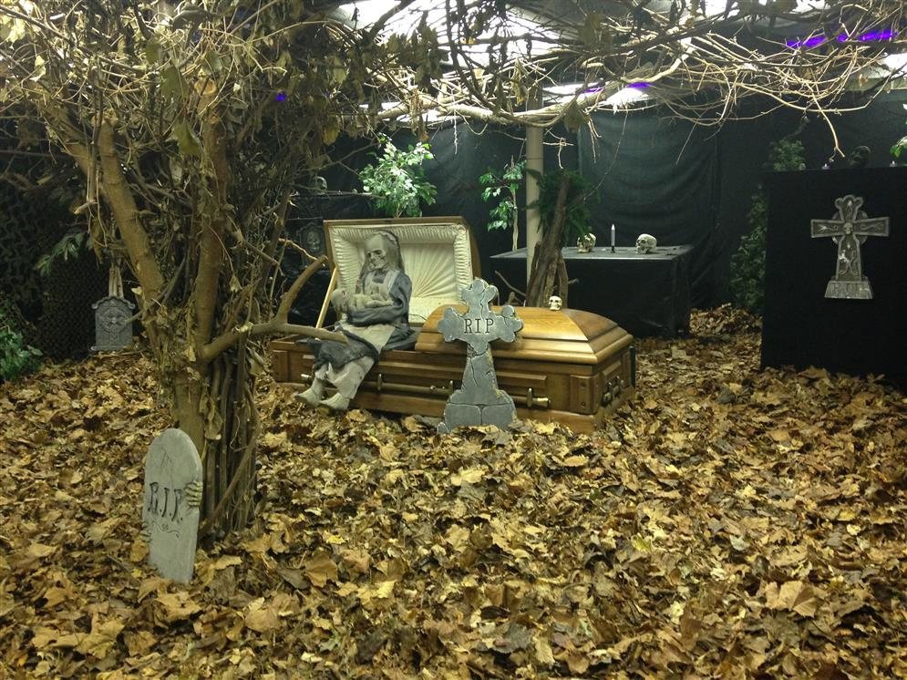 Heart-Pounding Fun Awaits this Halloween Season at Hall's Haunted Halls!